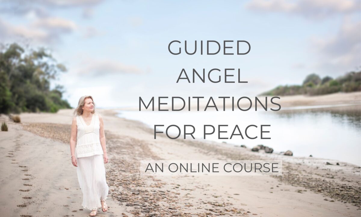 Online Angel Course